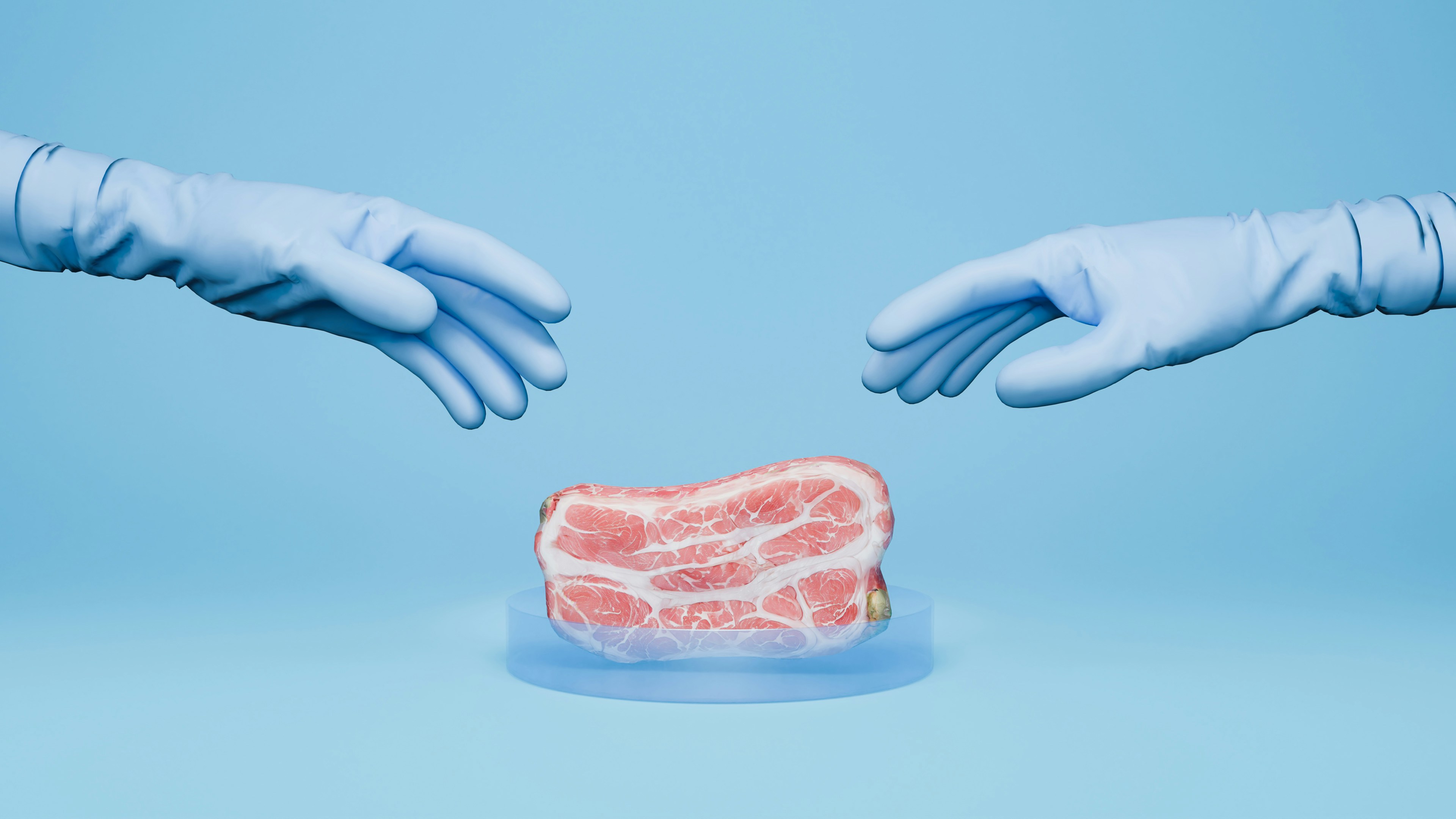 고기 아닌 고기, 대체육! 요즘 트렌드는? / 데일리바이트(DAILY BYTE)